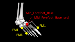 Appendix D - Oxford Foot Model