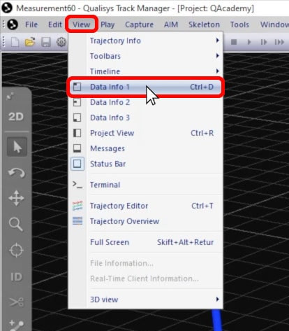 Viewing the 6DOF data
