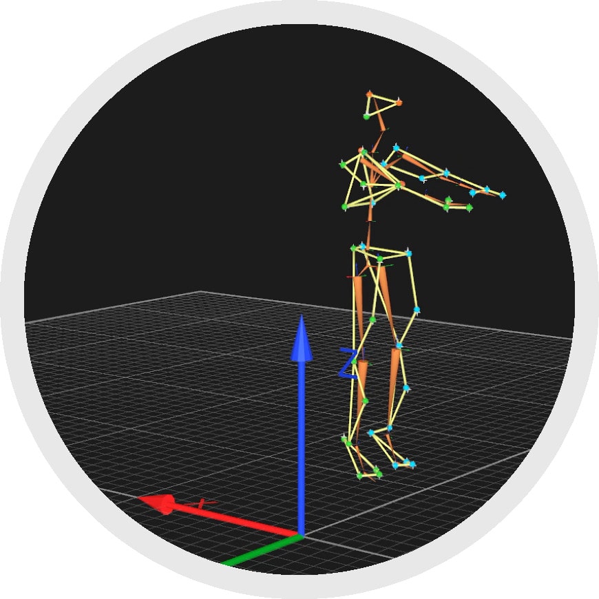 Streaming to animation software